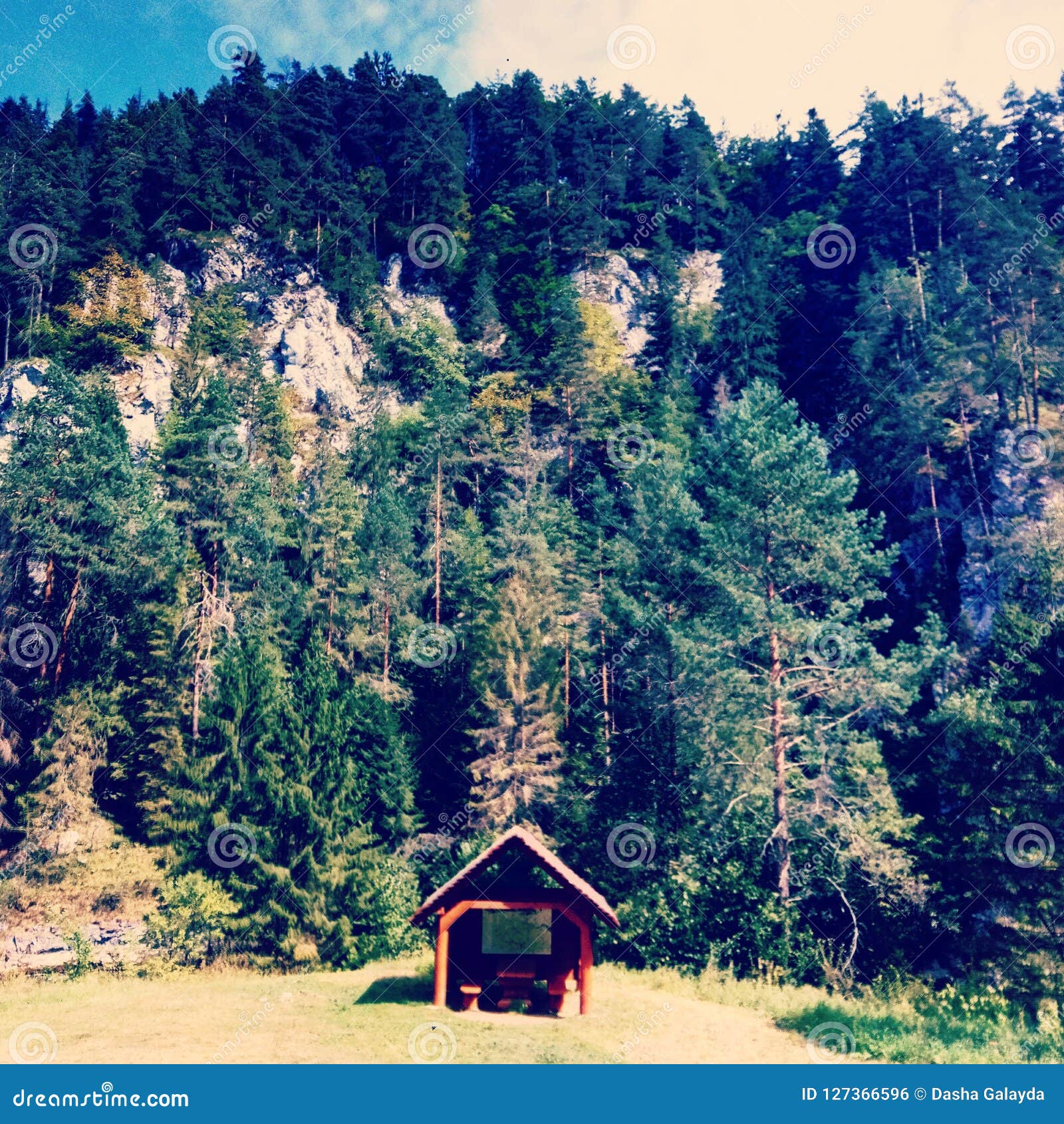 Magic alcove in the forest stock photo. Image of slovakian - 127366596