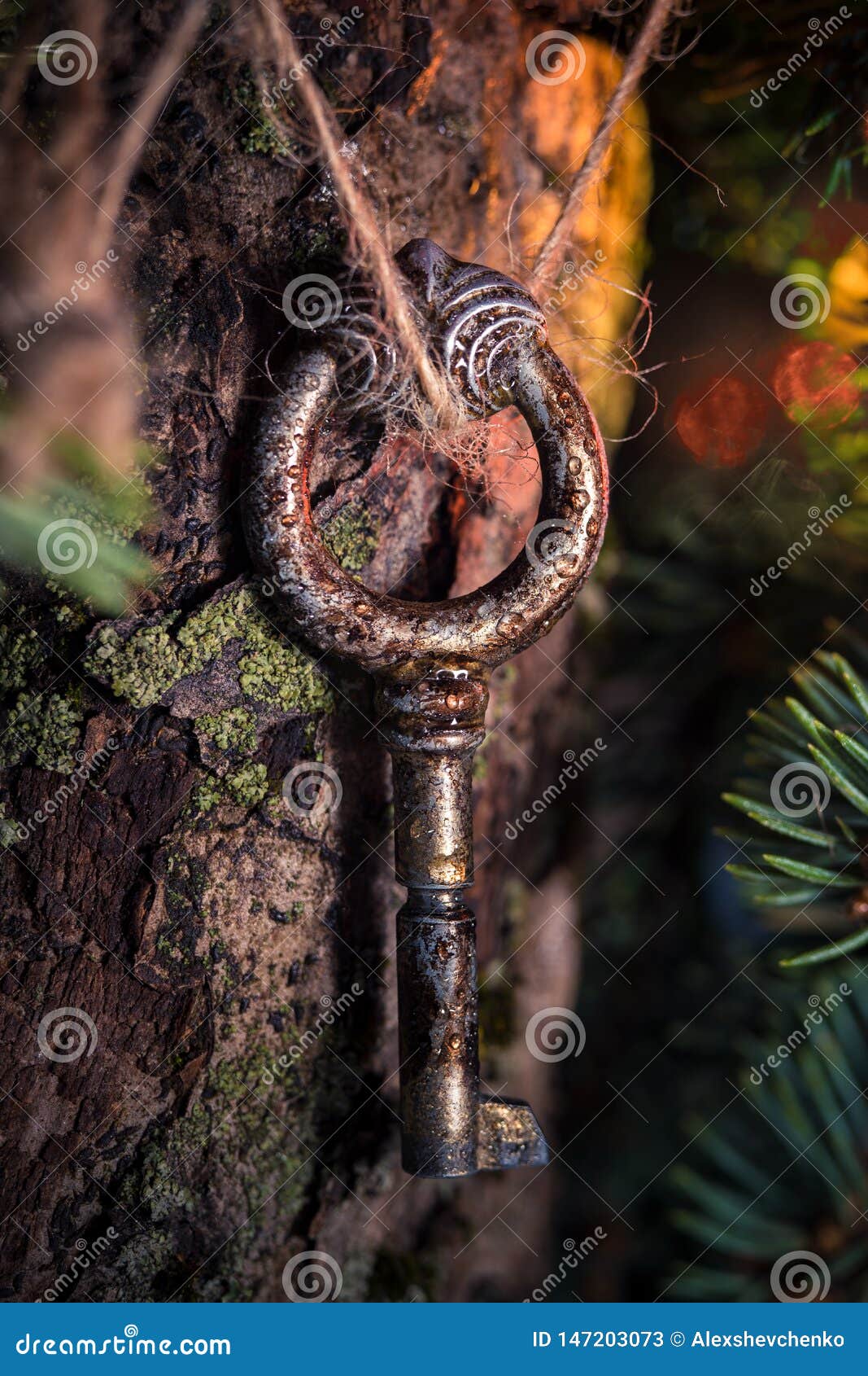 Magic Ancient Key in the Dark Mysterious Forest Stock Image - Image of ...