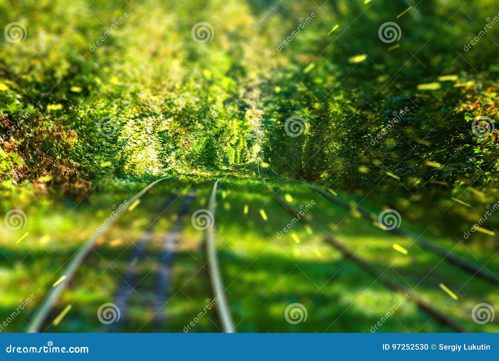 Tram Path Through The Grass In Paris. Rail Tram Transport In Paris ...