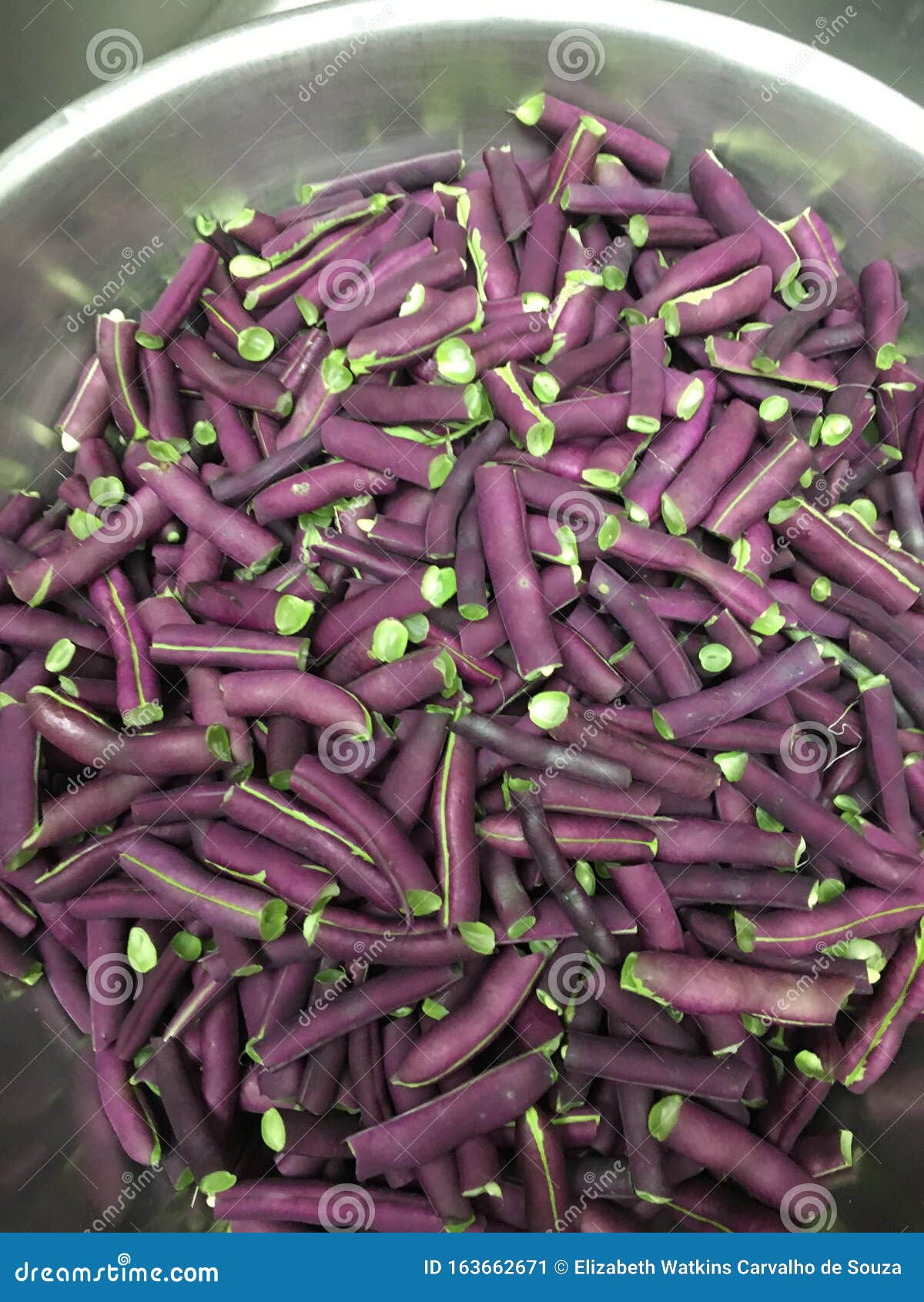 Magic Beans stock image. Image of garden, beans, organic - 163662671