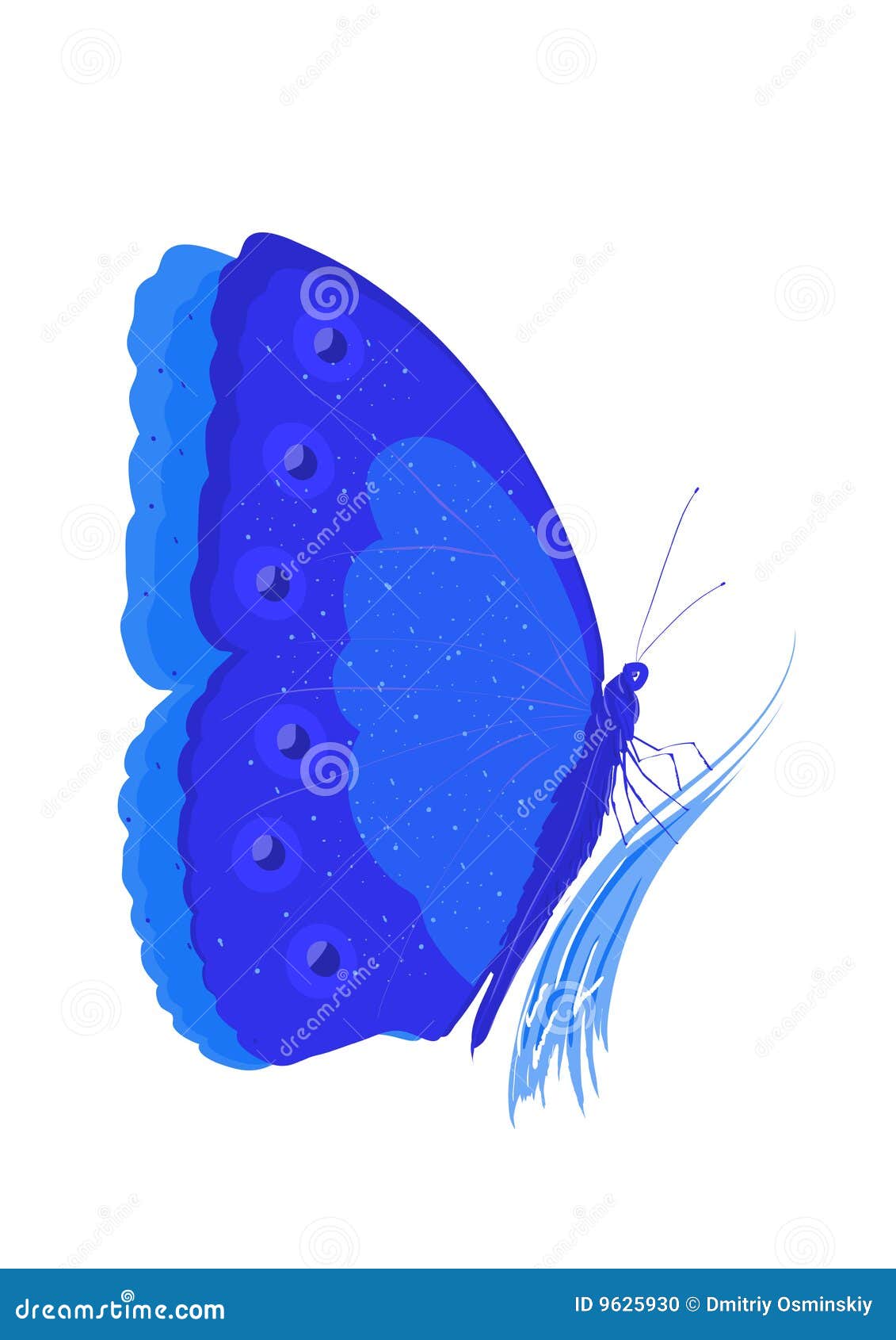 The Magic Blue Butterfly on Falls Stock Vector - Illustration of ...