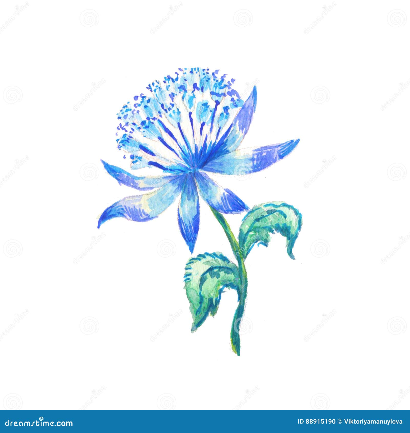 Magic blue flower stock illustration. Illustration of magic - 88915190