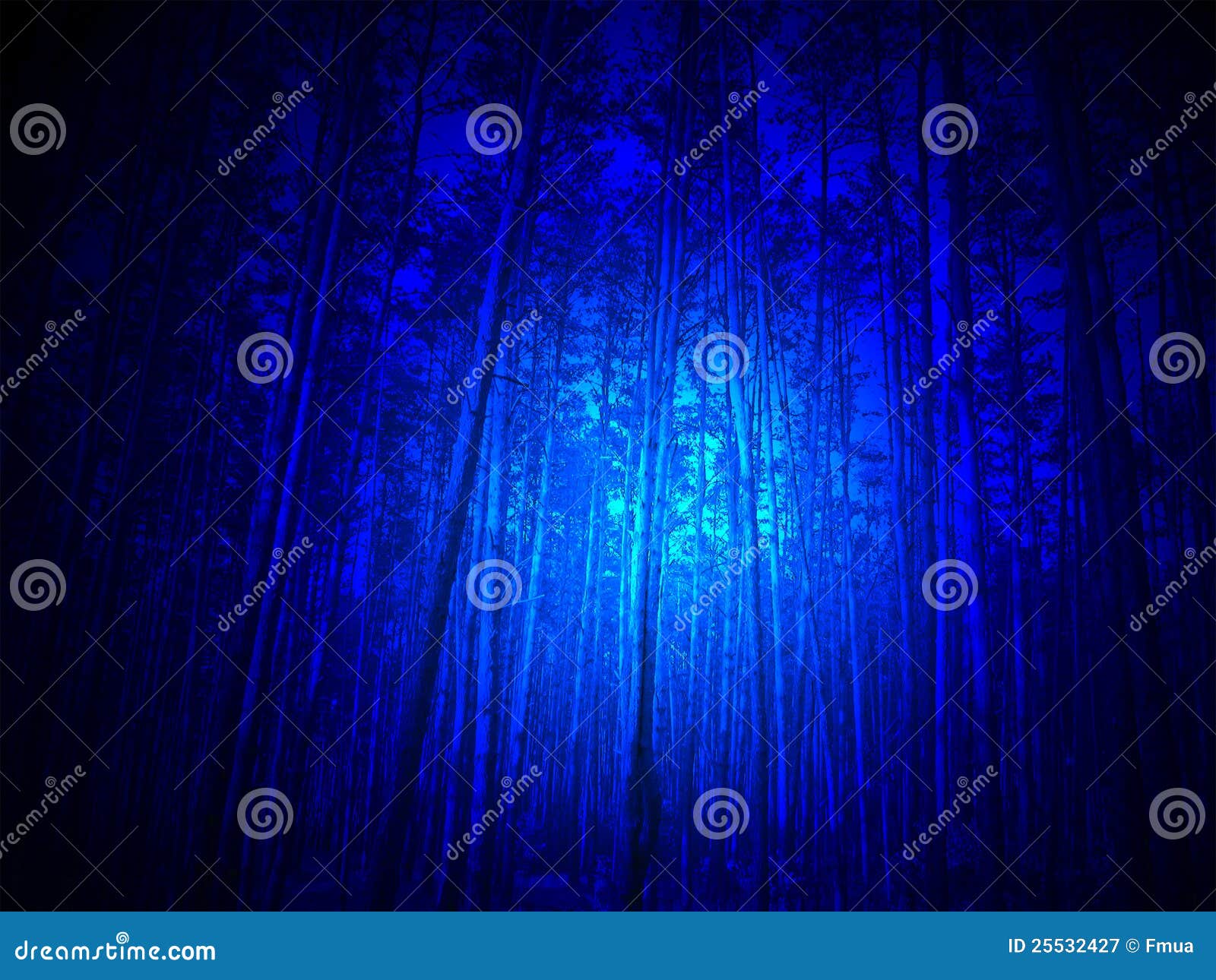 Magic Blue Light in the Forest, Night, Stock Image - Image of concepts ...