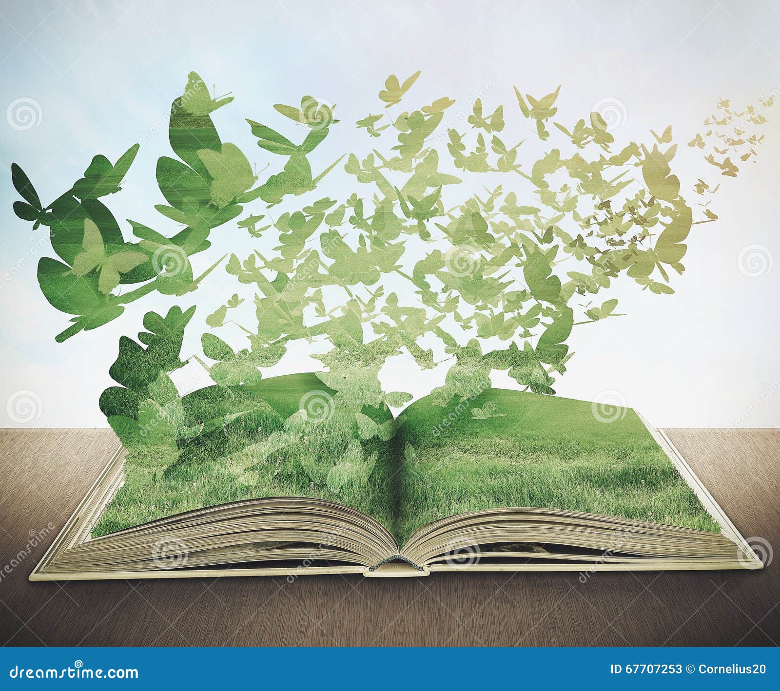 Magic Book, Grass, Butterflies Stock Illustration - Illustration of ...
