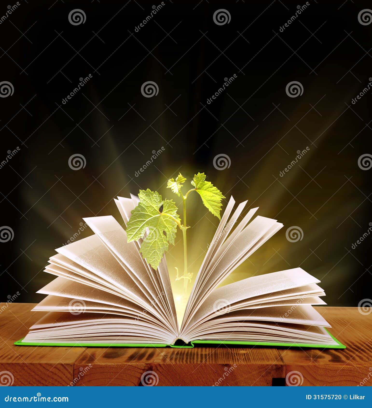 Magic book stock photo. Image of ecology, environment - 31575720