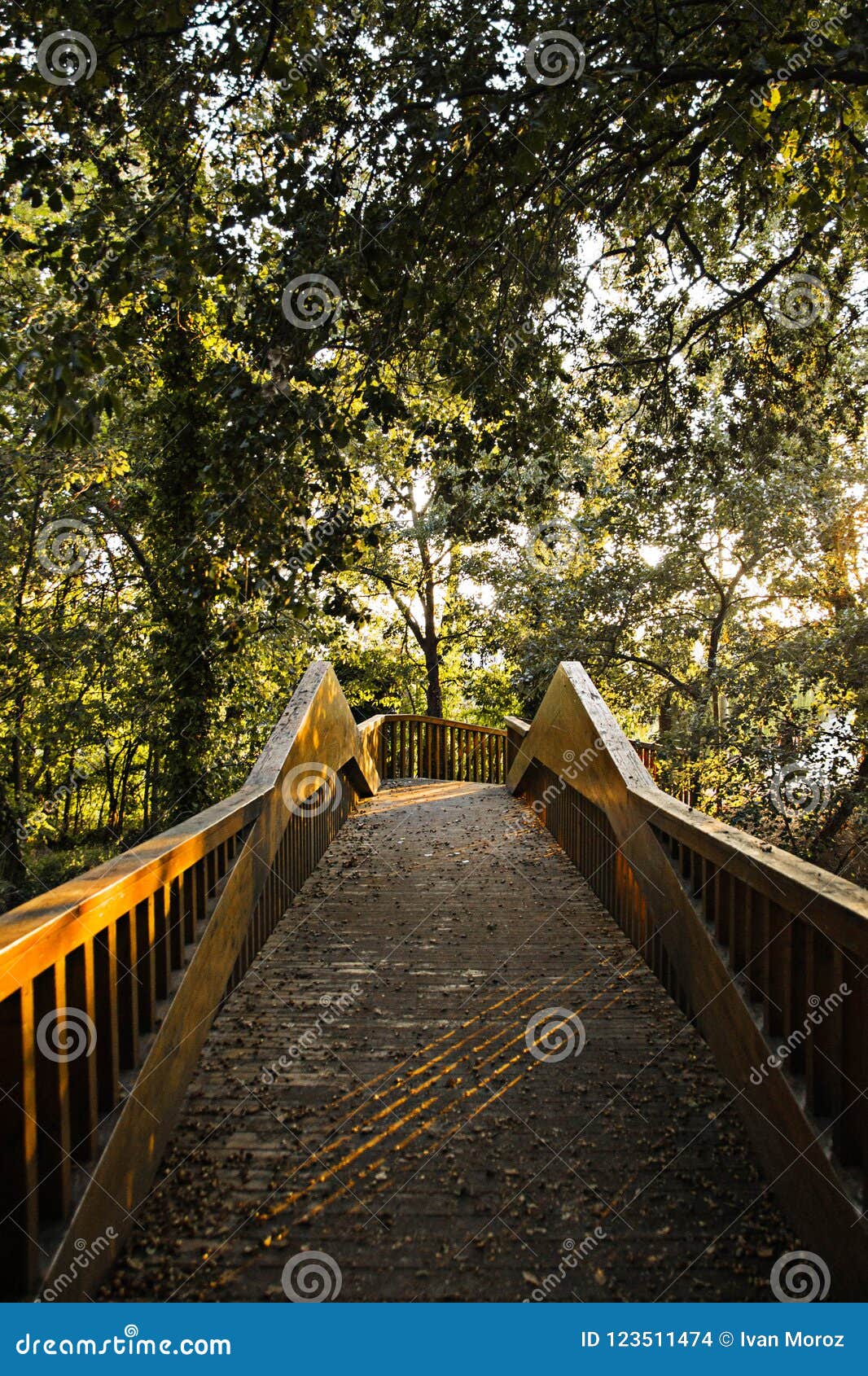 The bridge to the magic stock photo. Image of landscape - 123511474