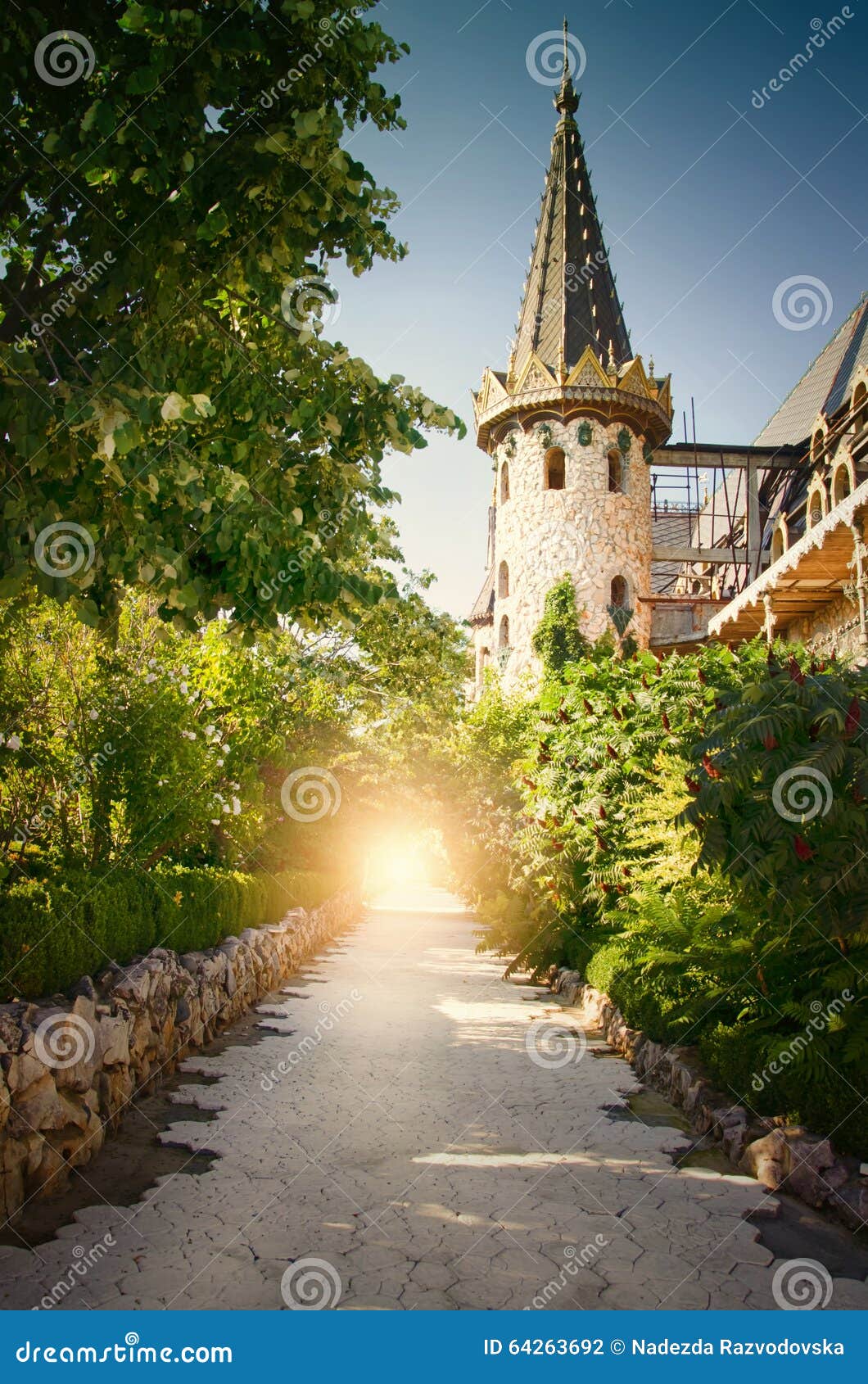 Magic Castle Path stock photo. Image of gothic, corvinesti - 64263692