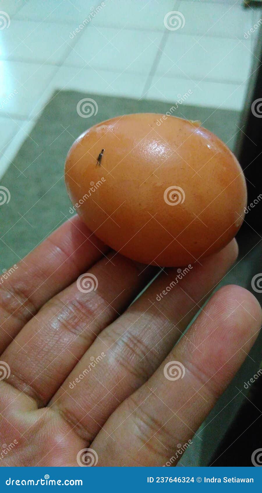 Chicken Sweating Photos - Free & Royalty-Free Stock Photos from Dreamstime