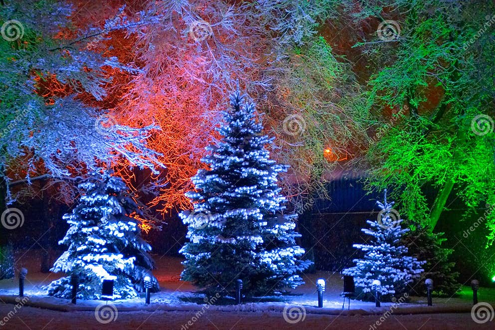 Magic Christmas tree stock photo. Image of seasonal, bauble - 757206