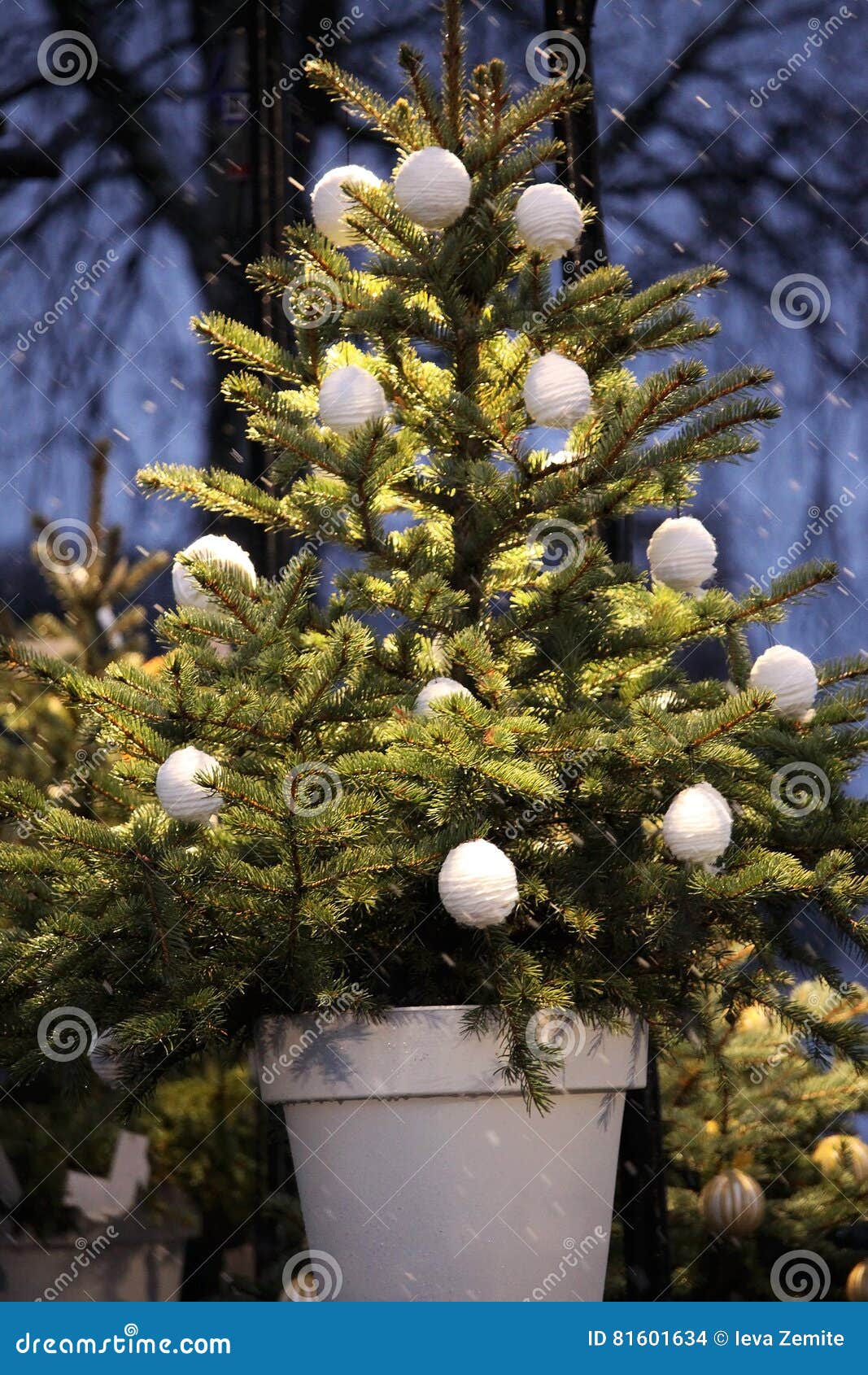 Magic Christmas tree stock photo. Image of decorate, closeup - 81601634