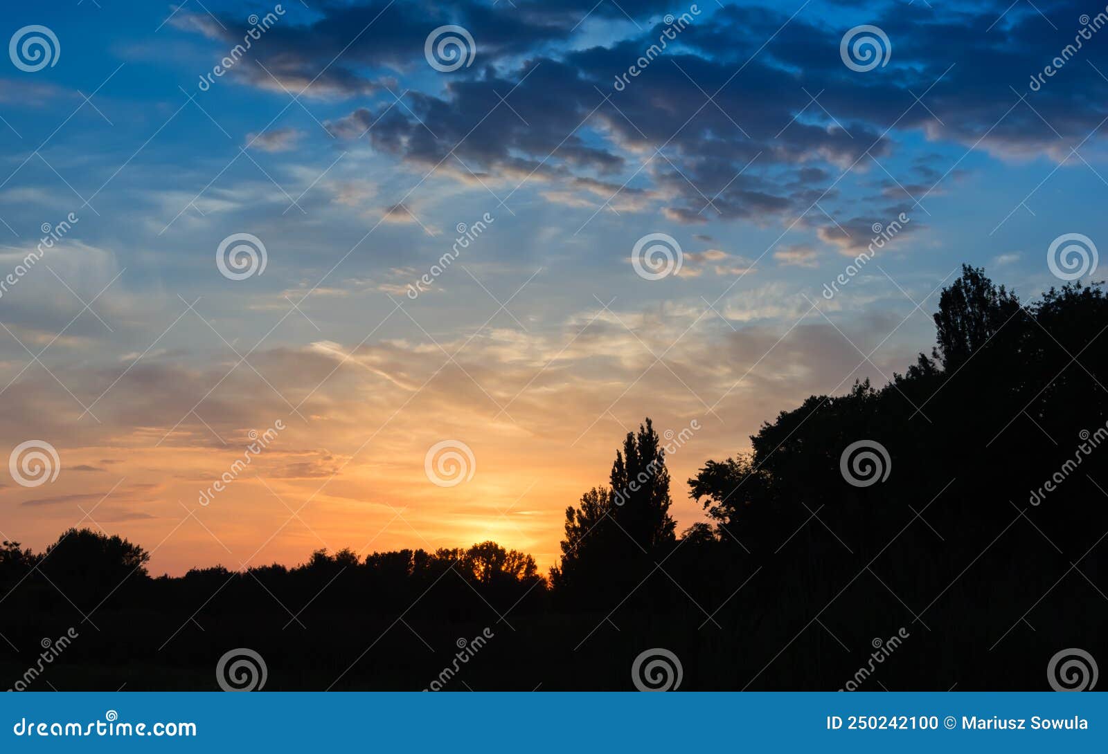 Horizon with Trees at Sunset 1 Stock Photo - Image of cloudscape ...