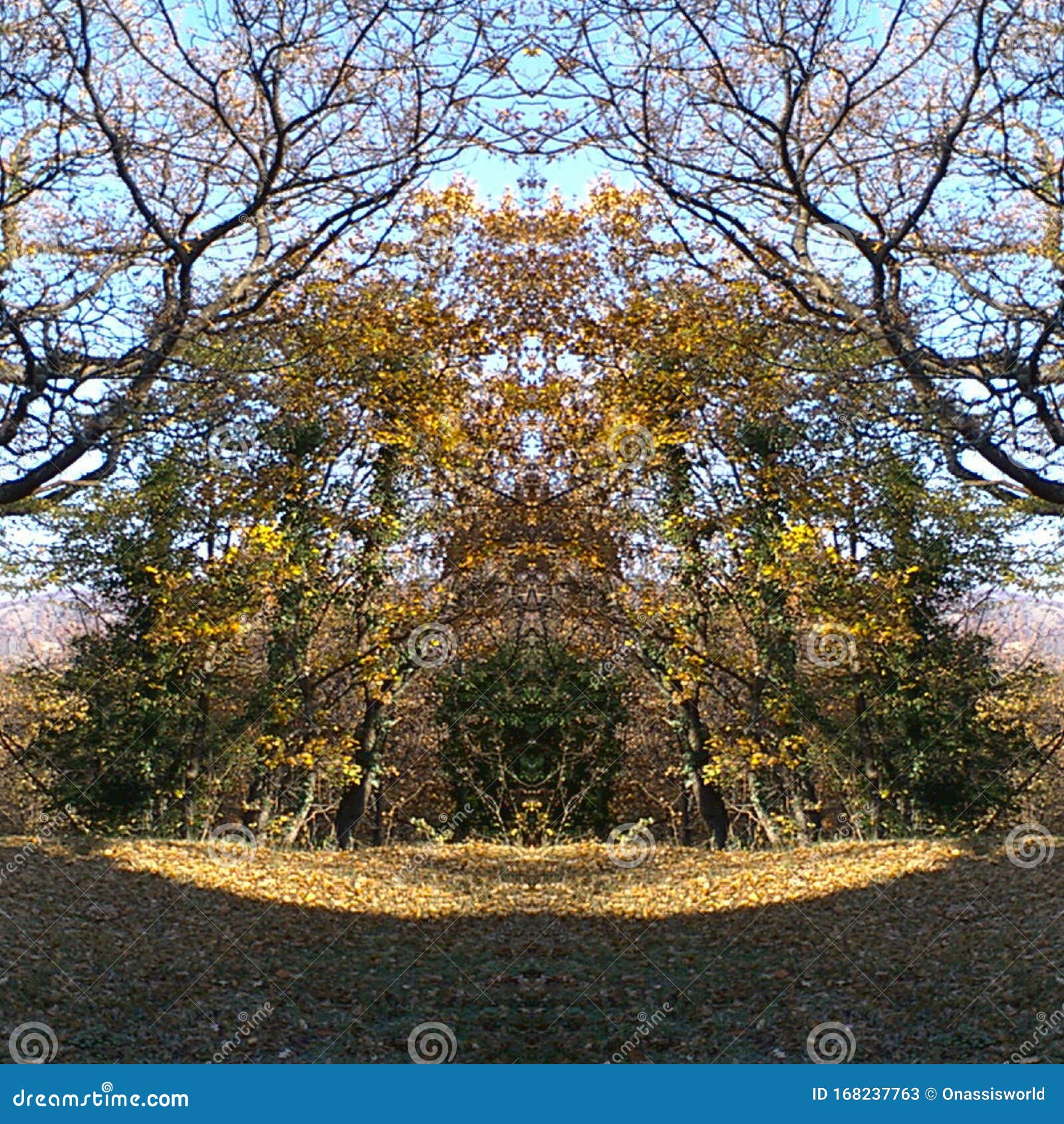 Magic Doorway in a Forest stock image. Image of forest - 168237763