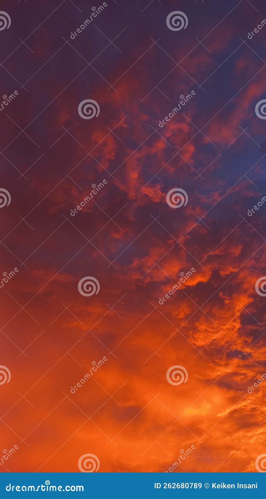 Magic Evening Dusk Sky Potrait Stock Image - Image of quail, potrait ...