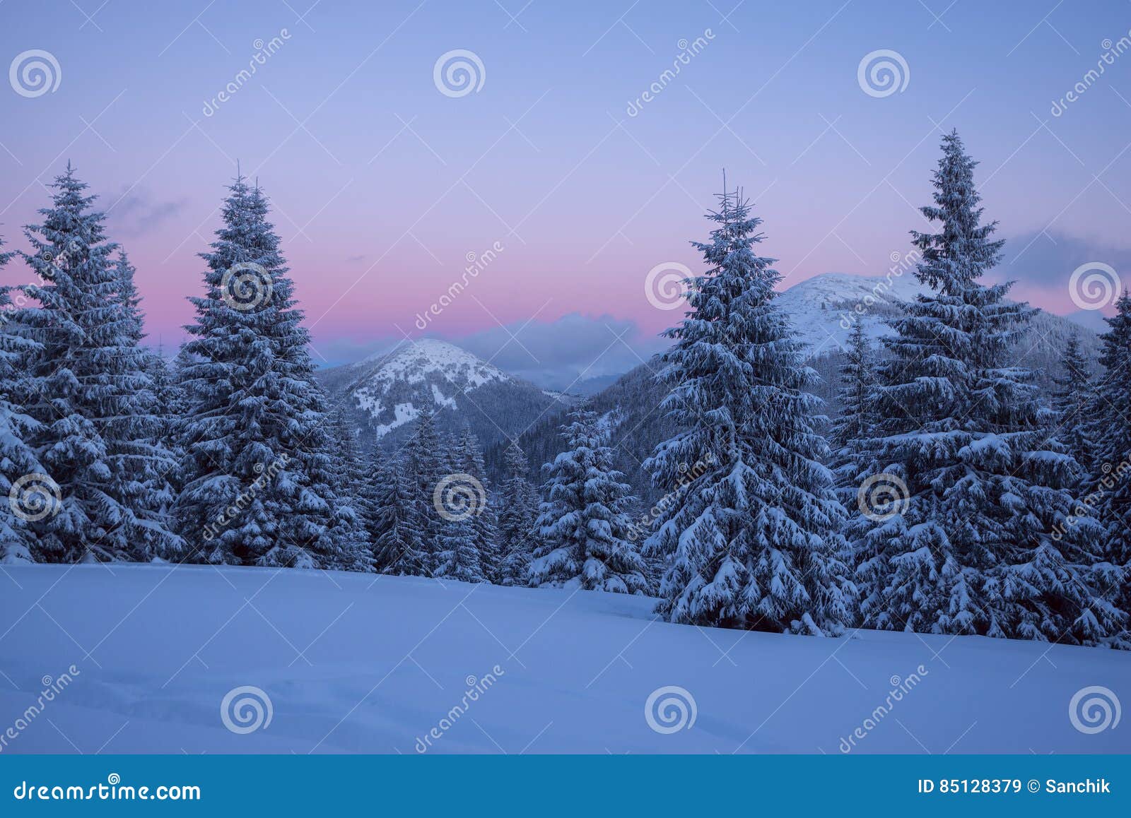 Magic Evening in the Winter Mountains after Snowfall Stock Image ...