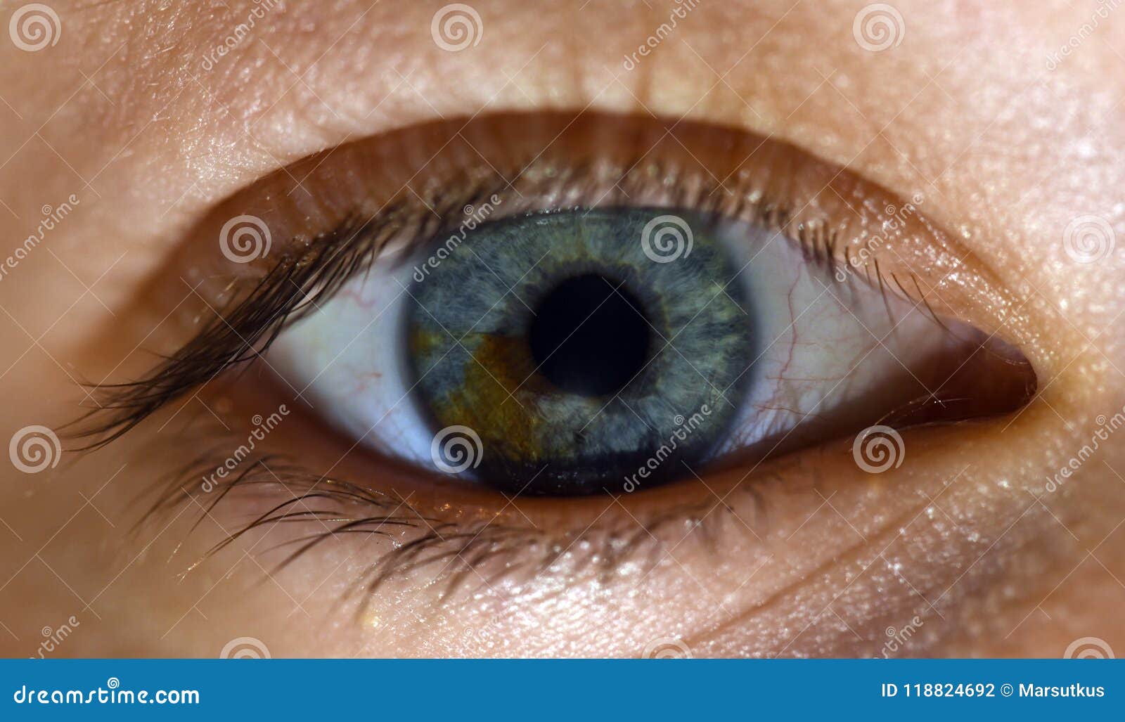 Magic eye with two colors stock photo. Image of hemorrhage - 118824692