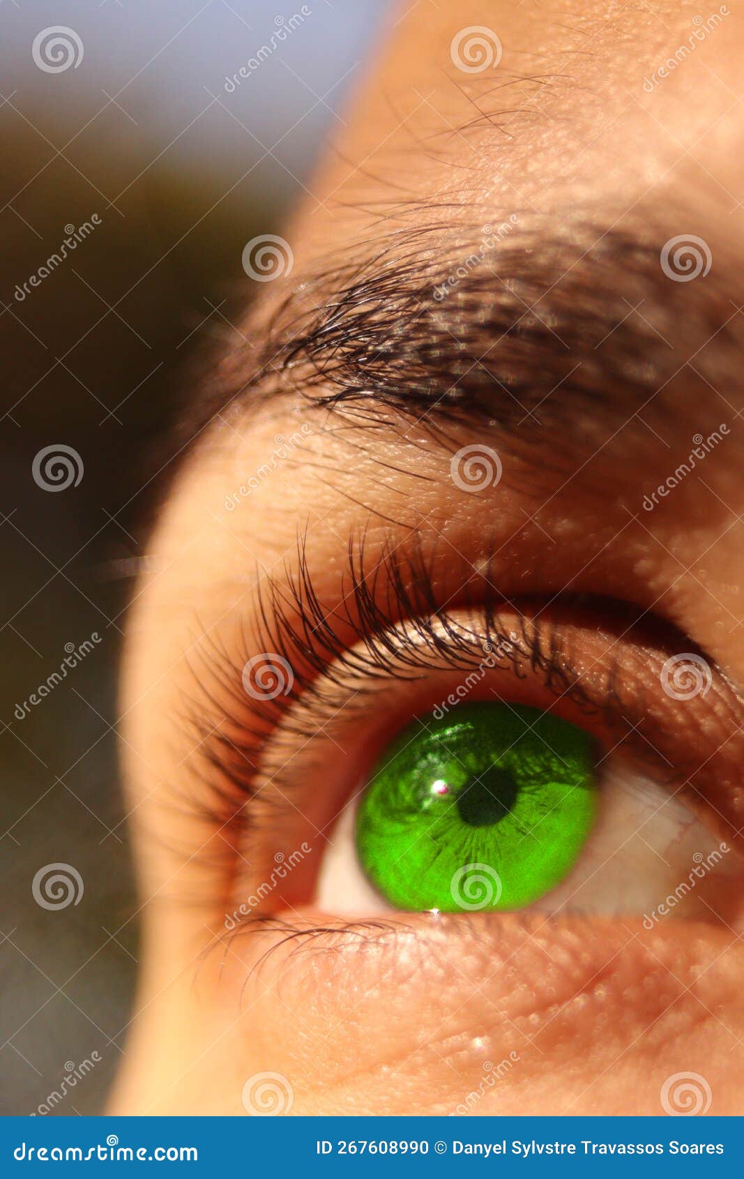 Magic eye close stock photo. Image of green, brown, eyelash - 267608990