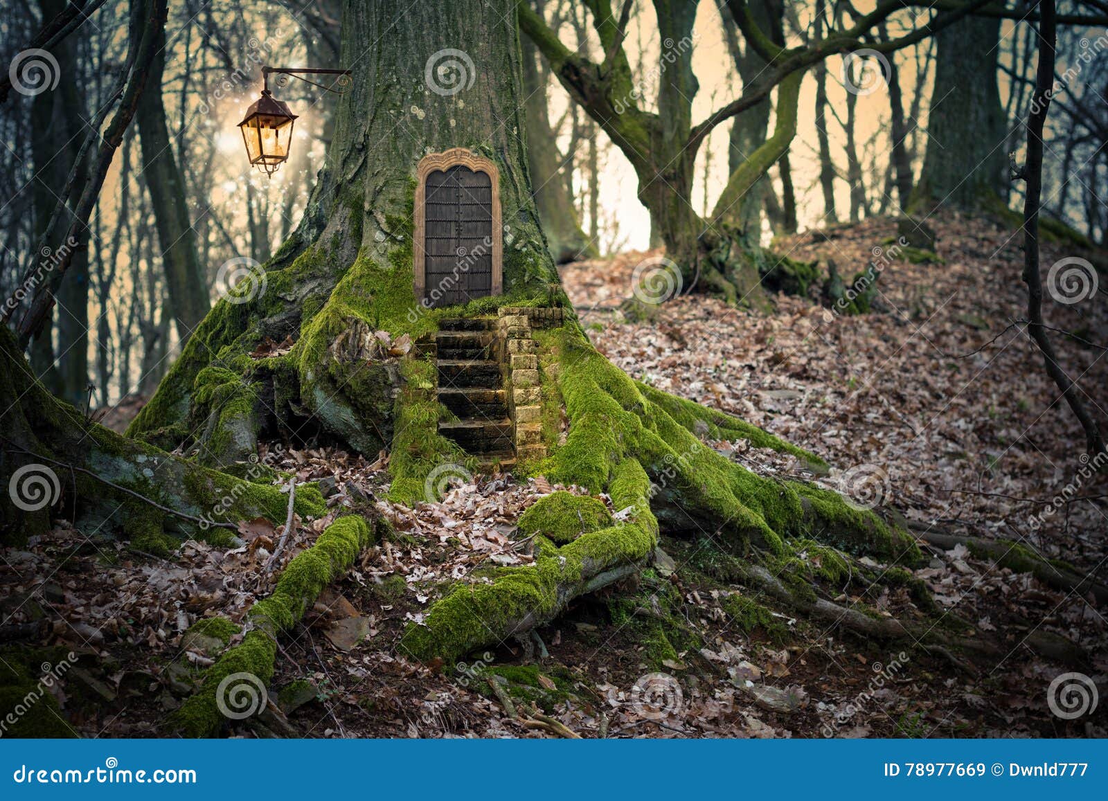 Magic fairy forest stock illustration. Illustration of house - 78977669