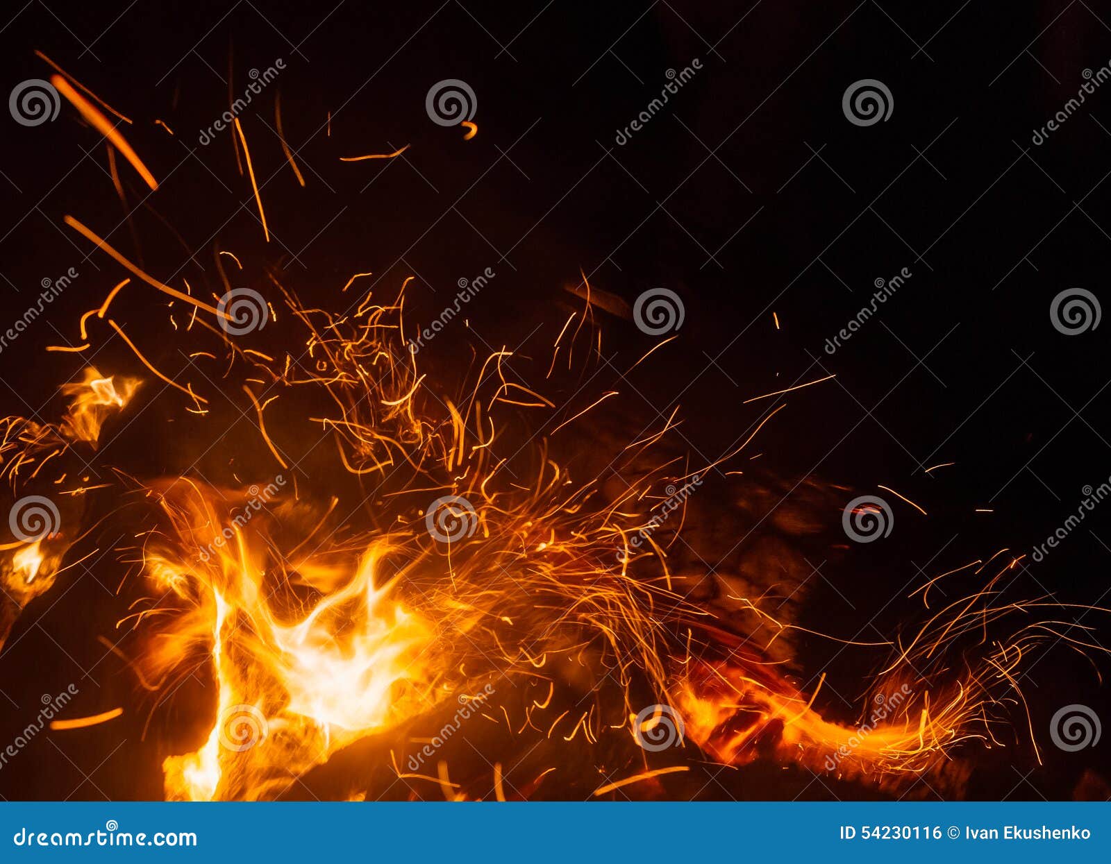 Magic fire stock photo. Image of highlights, beach, forest - 54230116