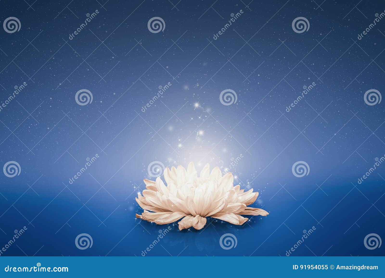 Magic Flower - Poppy Stock Photography | CartoonDealer.com #41313320