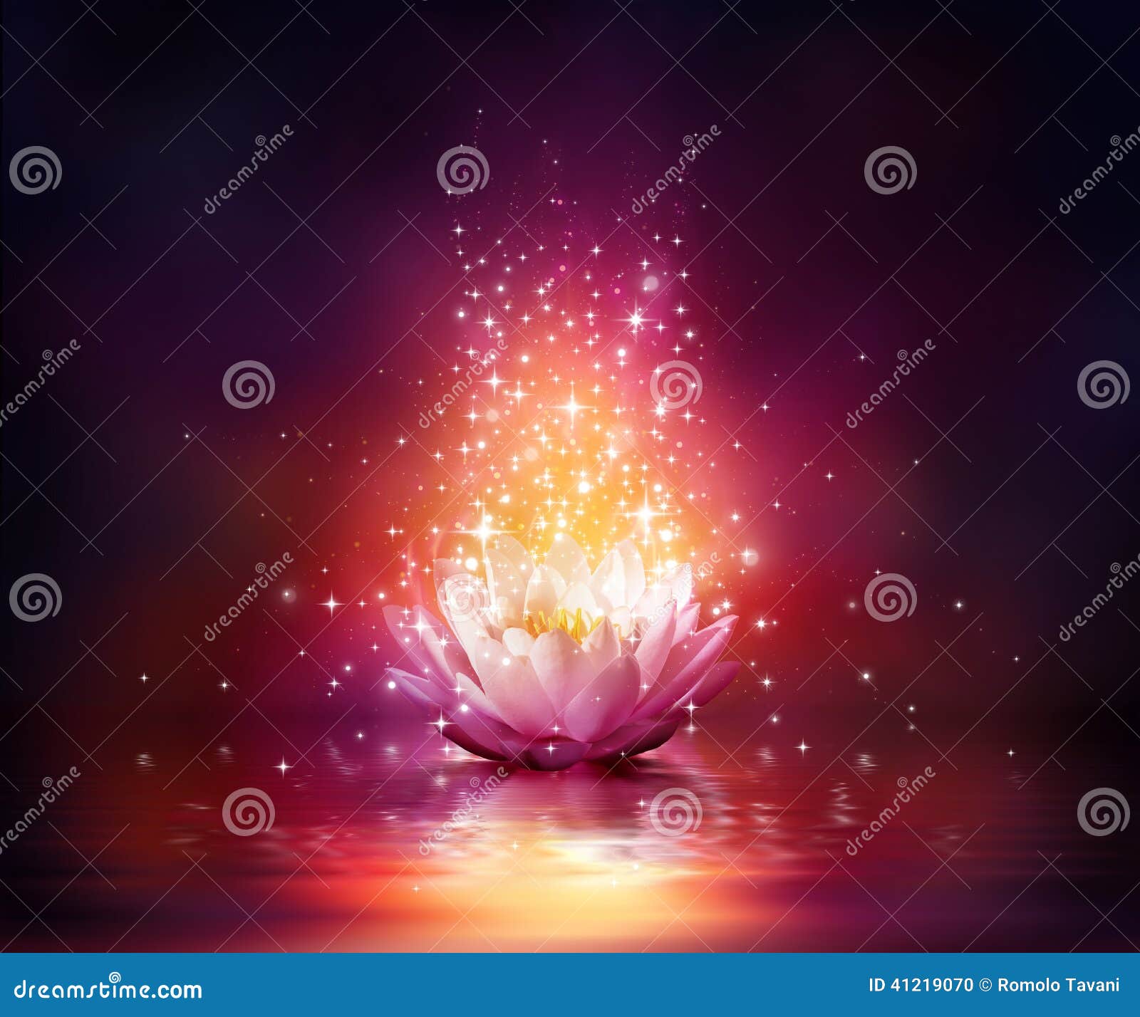 Magical Flower Wallpaper