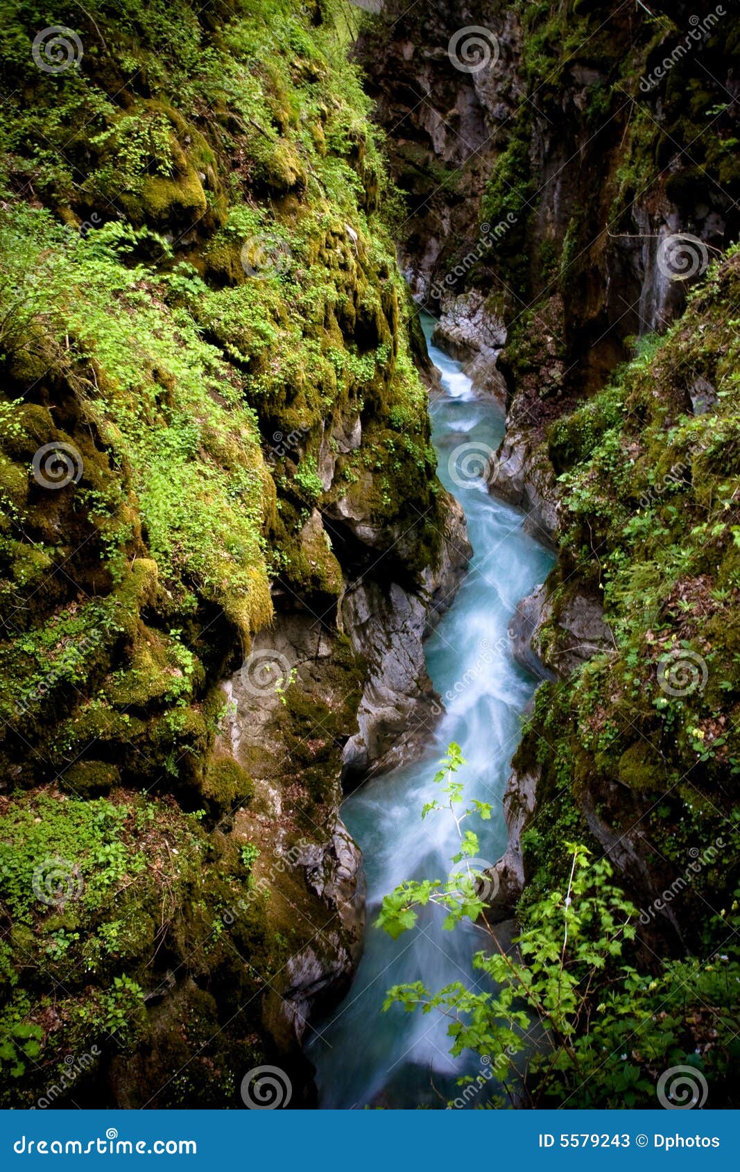 Magic forest stock image. Image of holiday, mountain, peace - 5579243