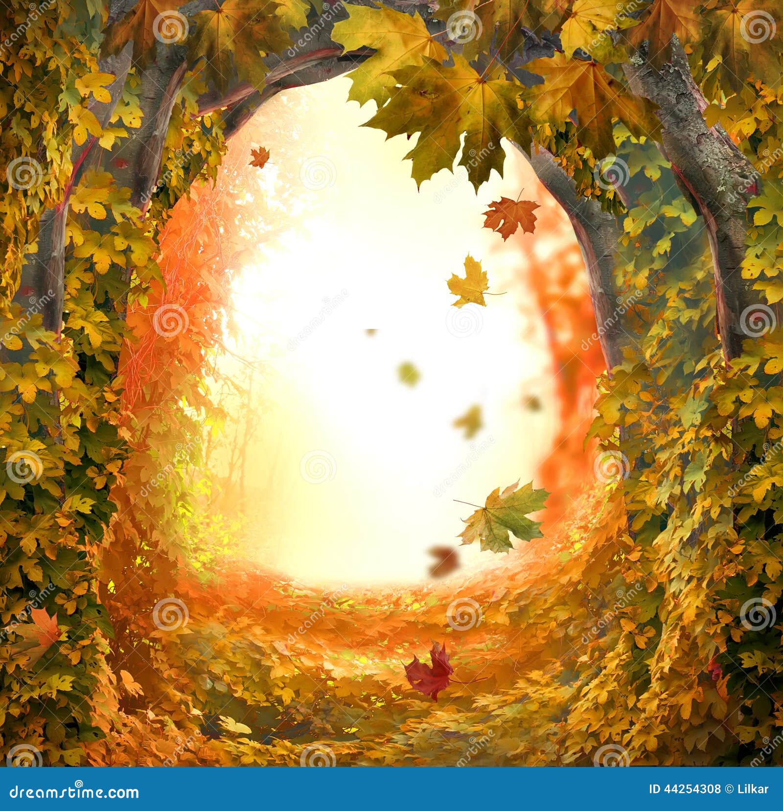 Magic forest stock photo. Image of beautiful, foliage - 44254308