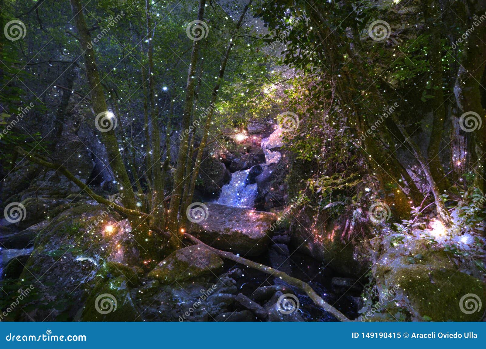 The Magic Forest of the Fireflies Stock Image - Image of river, centre ...