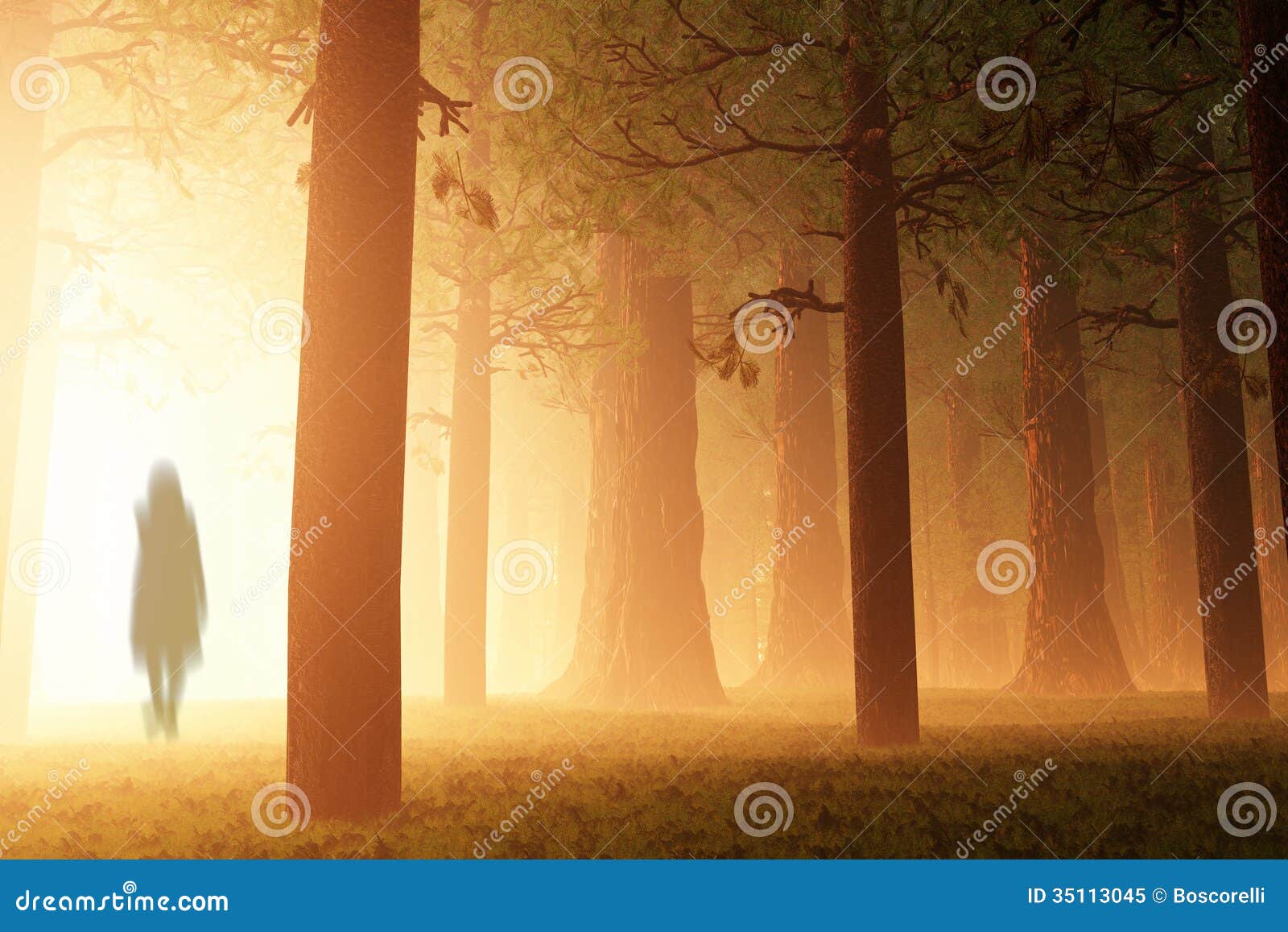 Magic Forest Ghost stock illustration. Illustration of dawn - 35113045