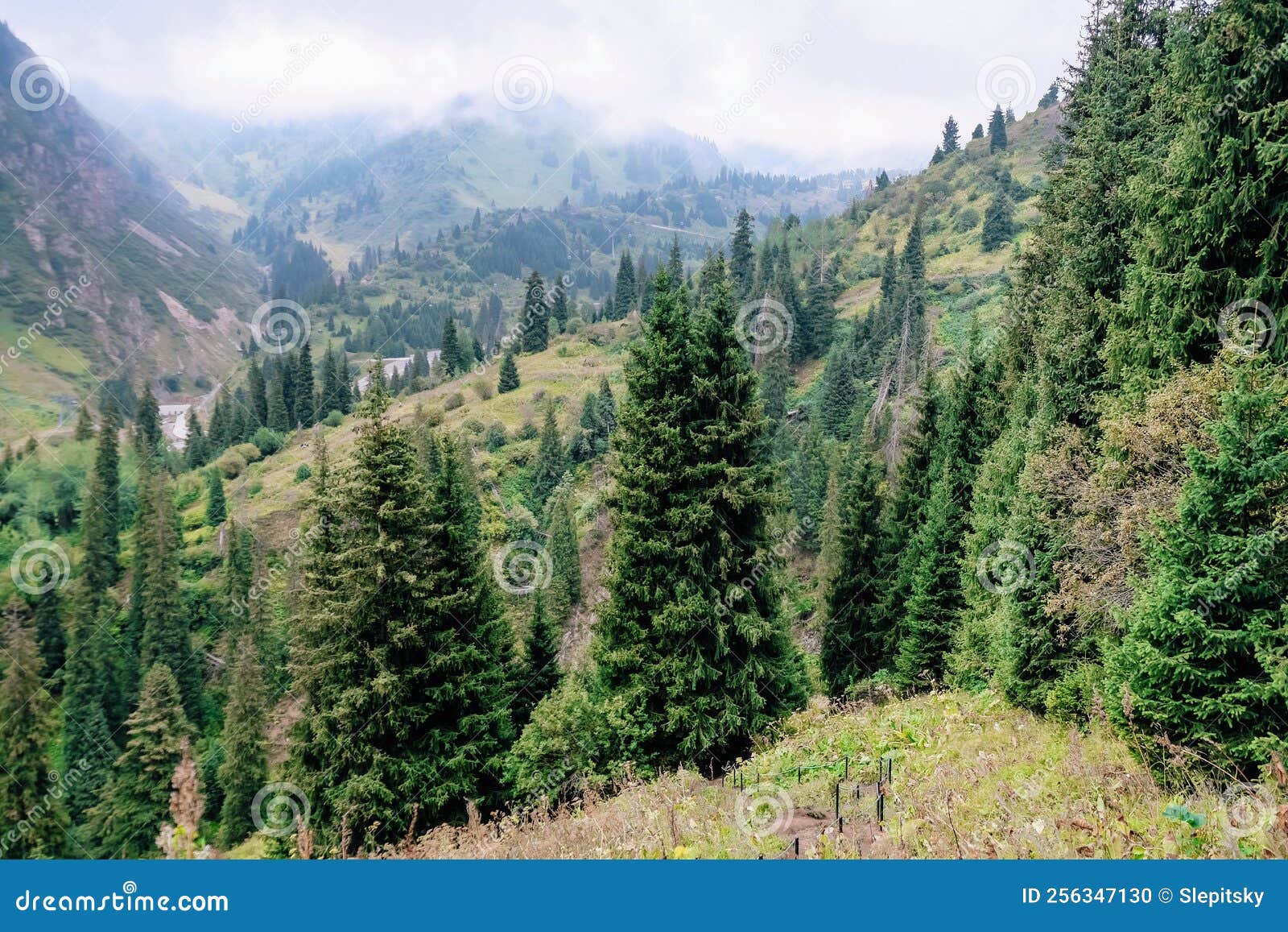 Magic Forest in Mountains. Landscape Nature Panorama. Stock Photo ...