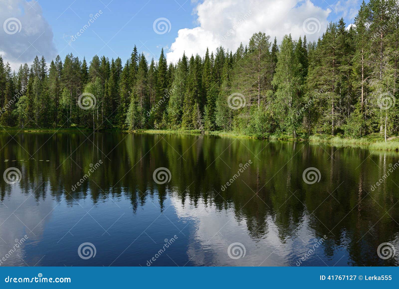 Magic forest near the lake stock image. Image of finnish - 41767127
