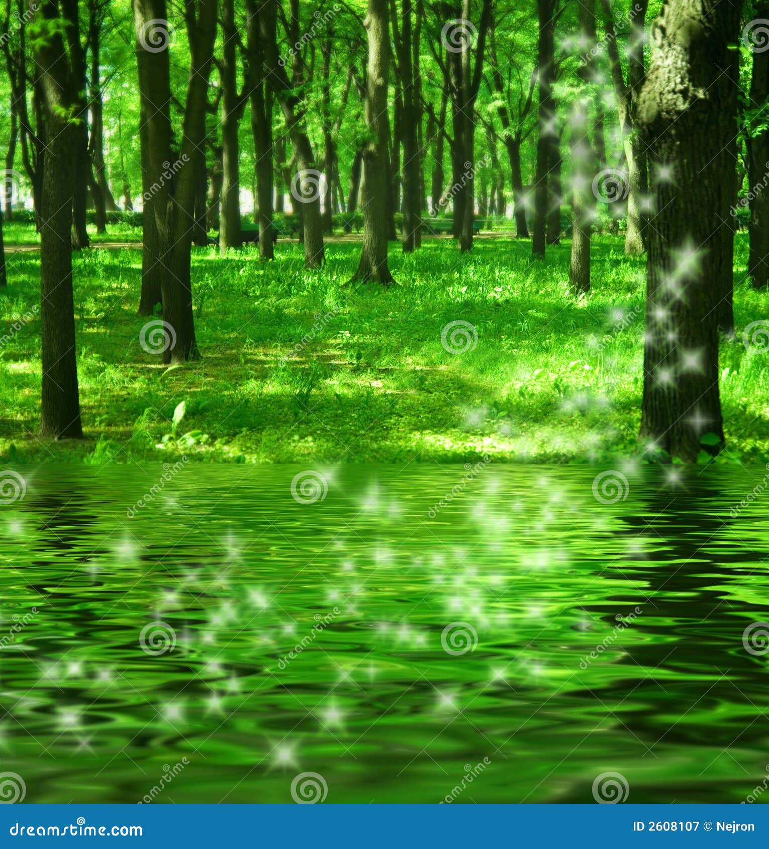 Magic Forest Near the River Stock Image - Image of flare, myst: 2608107