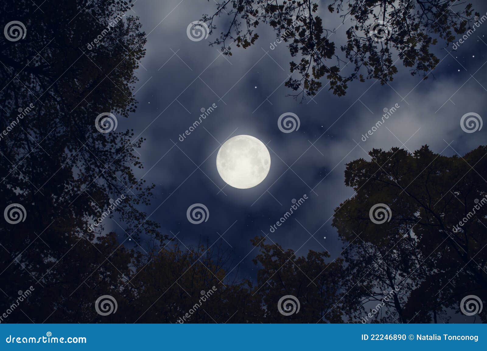 Magic full moon stock photo. Image of beauty, climate - 22246890