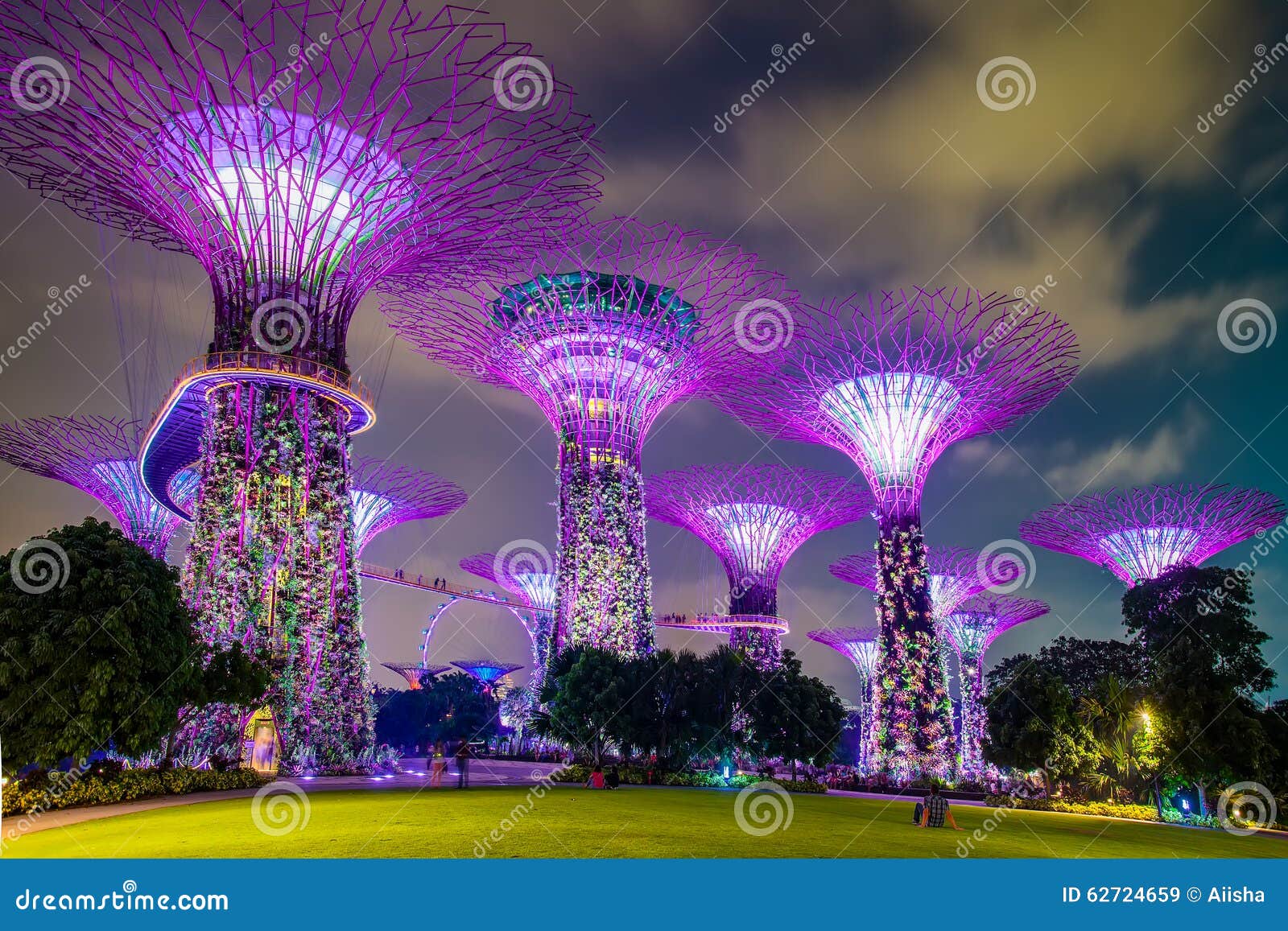Magic Garden at Night, Singapore Stock Image - Image of night, scene ...