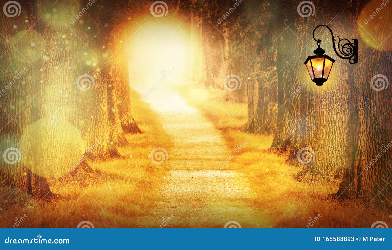 Golden Forest Fairy Guardian Spirit, Detailed Illustration Royalty-Free ...