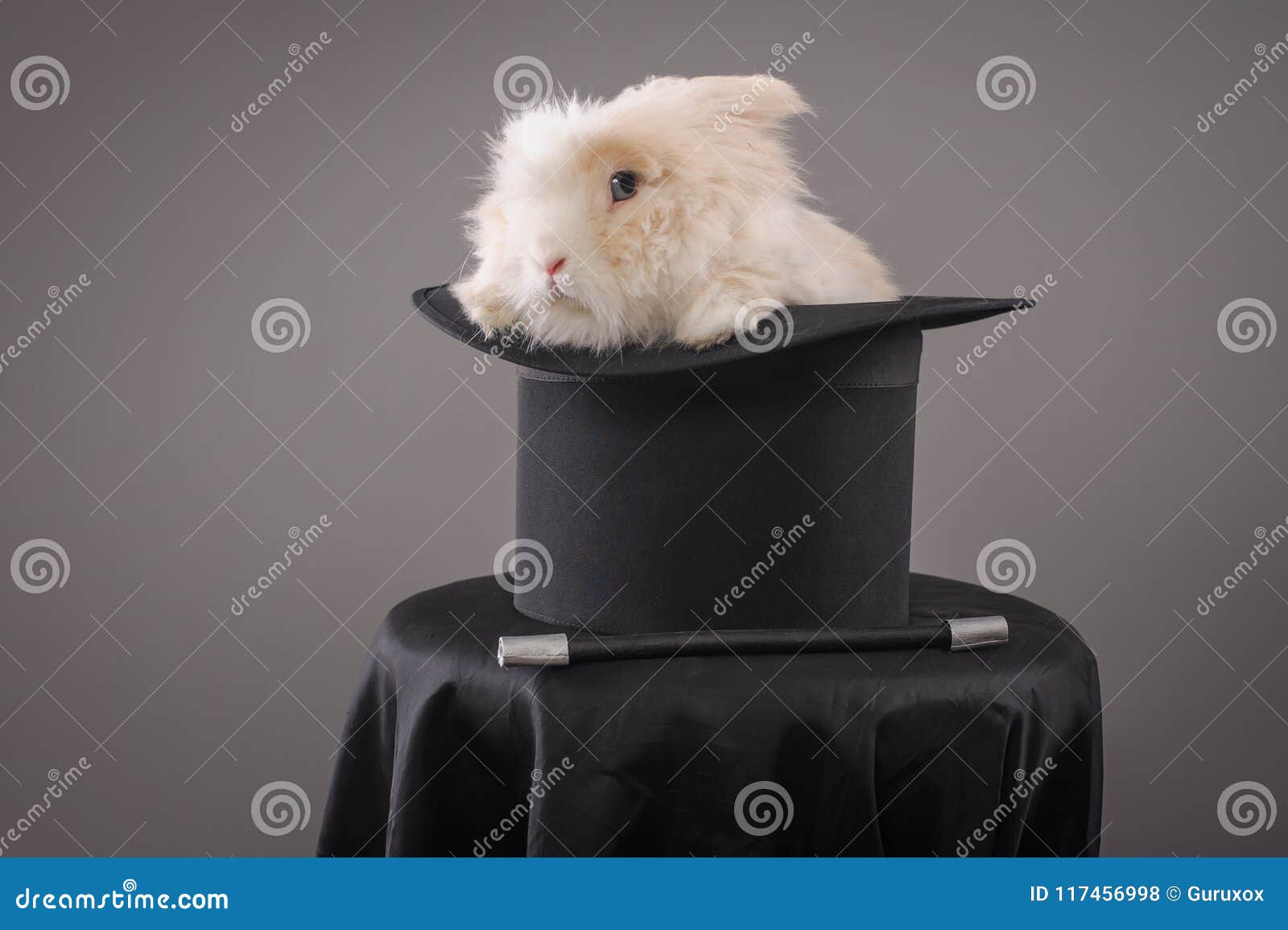 Magic Hat with Beautiful White Rabbit Stock Photo - Image of ...