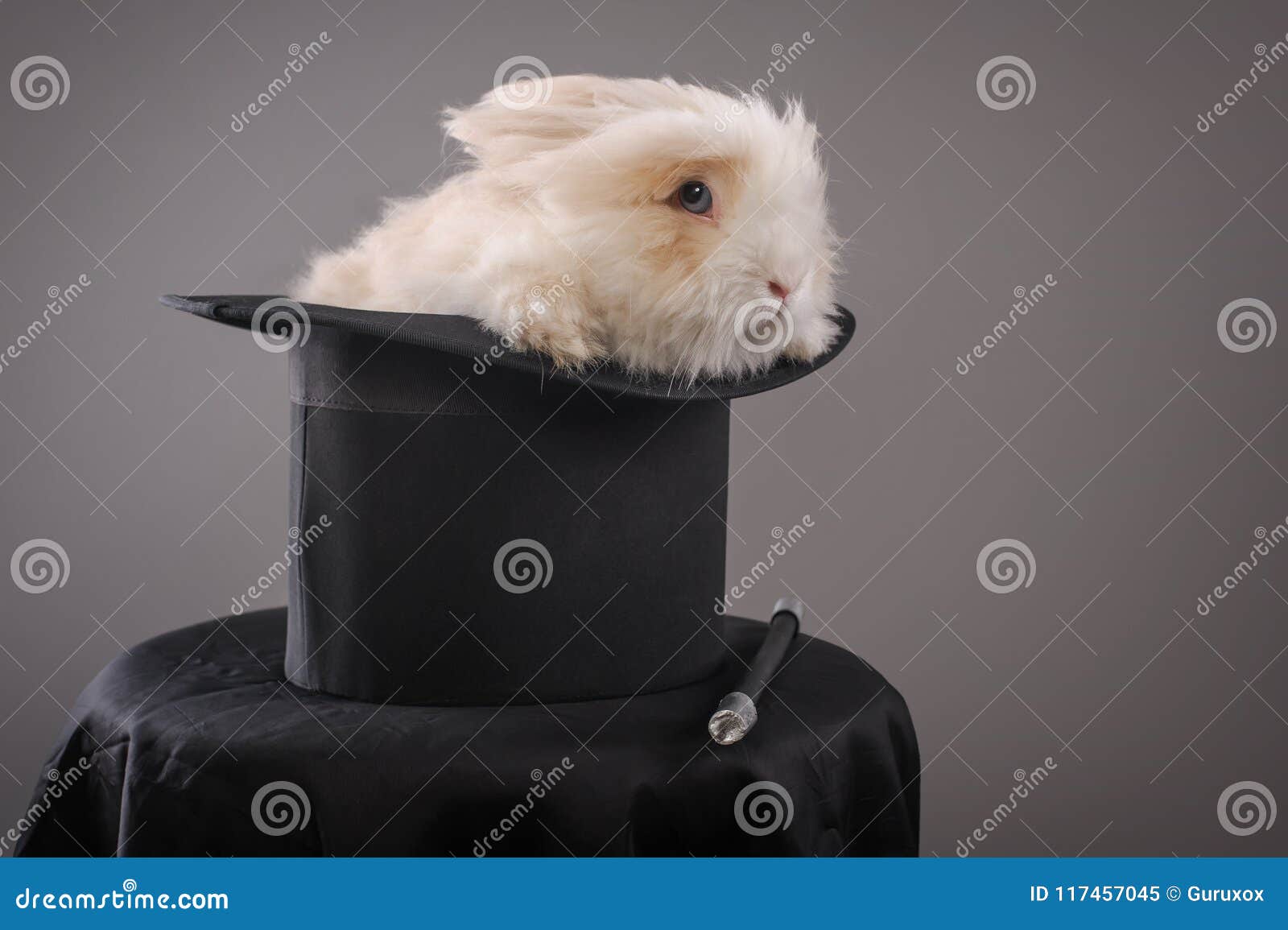 Magic Hat with Beautiful White Rabbit Stock Image - Image of fluffy ...