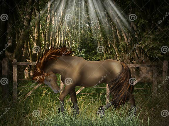 Magic Horse stock photo. Image of flowers, baby, kids - 14812296