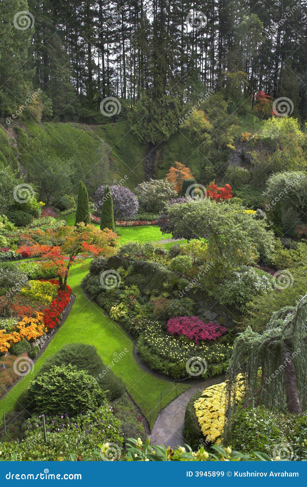 Magic labyrinth. stock image. Image of conservation, botany - 3945899