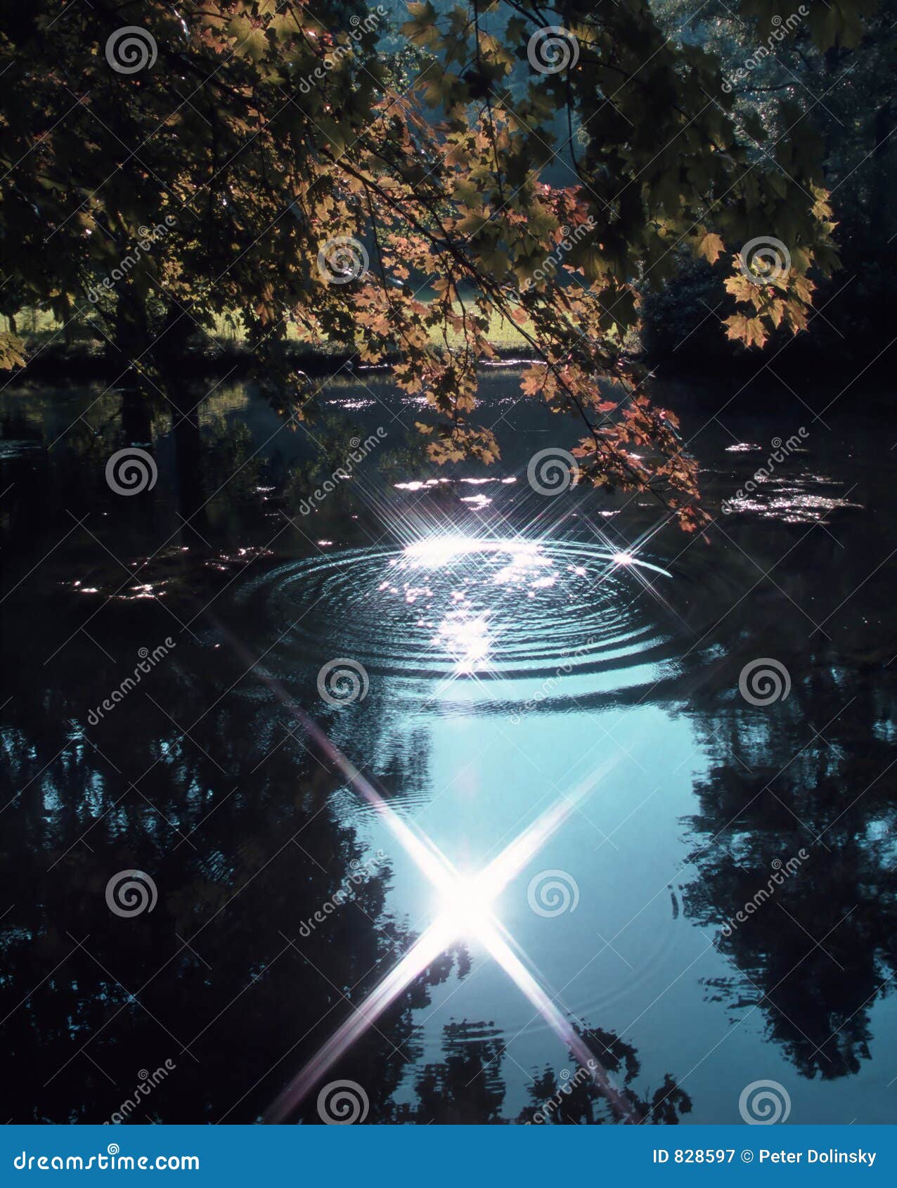 Magic lake stock image. Image of noon, pleasance, leaf - 828597