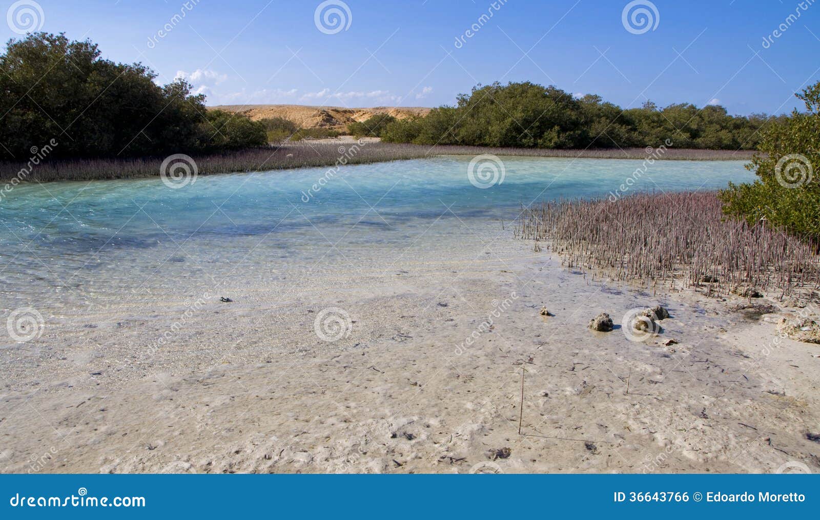 Magic lake in Egypt stock photo. Image of animal, colorful - 36643766