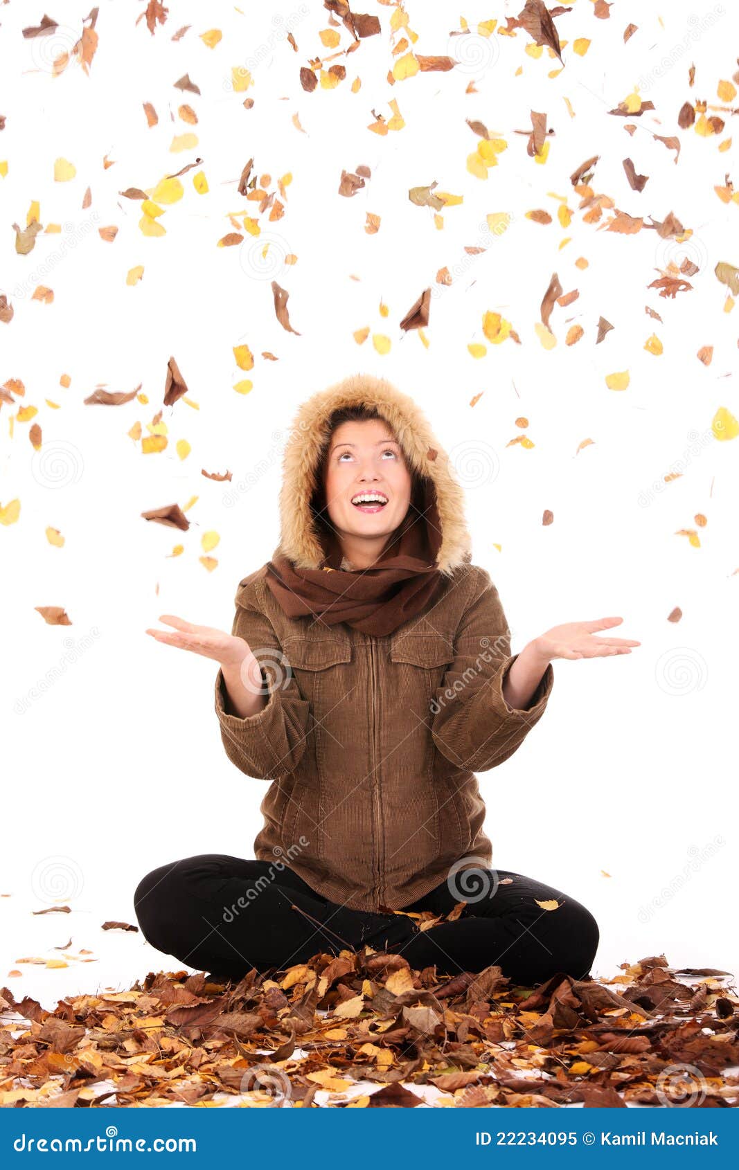 Magic leaves stock image. Image of looking, brown, caucasian - 22234095