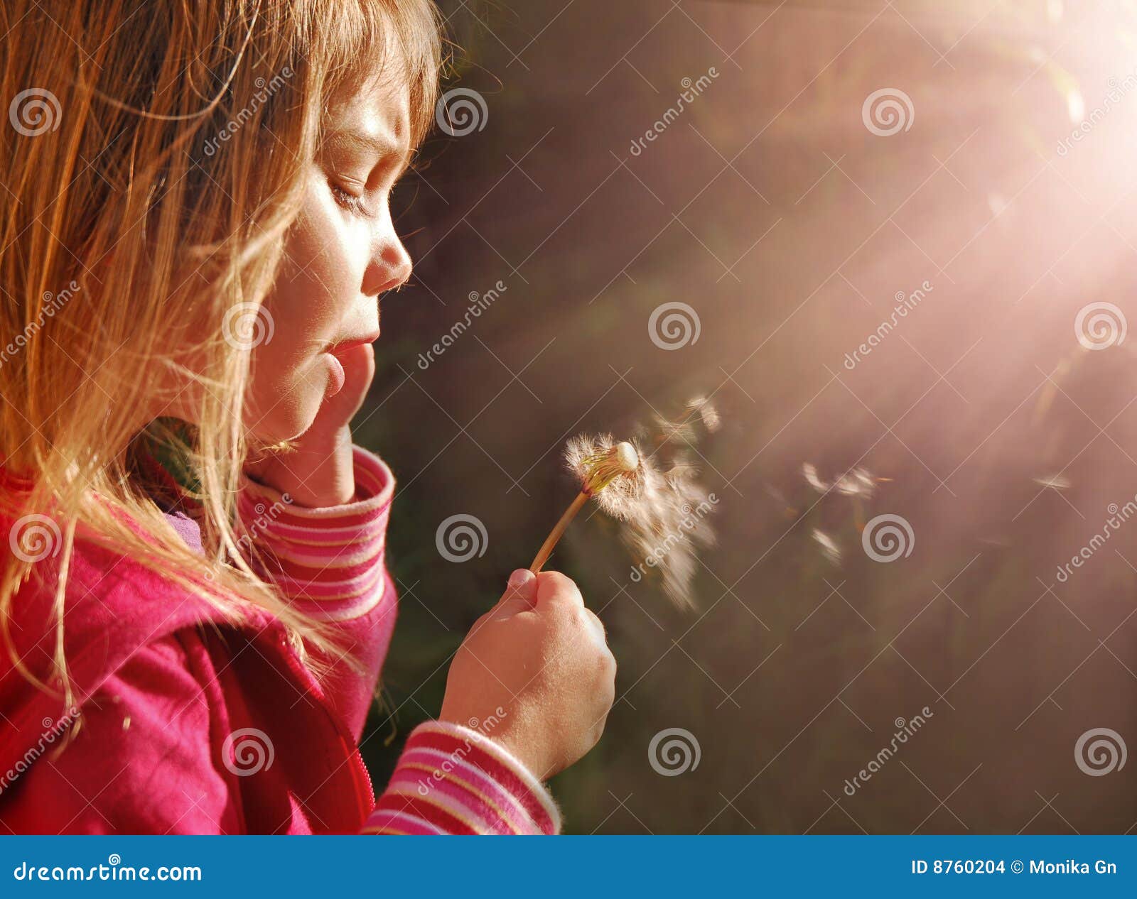 1,519 Magic Seed Stock Photos - Free & Royalty-Free Stock Photos from ...