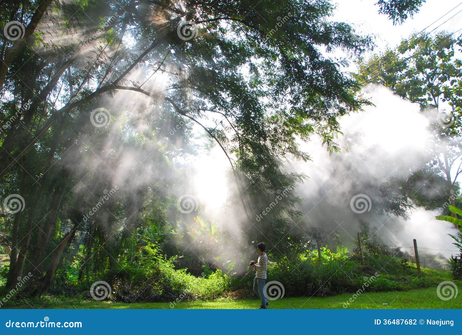 Magic light beams stock photo. Image of gradient, fade - 36487682