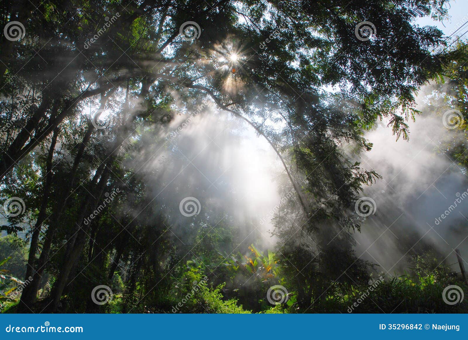 Magic light beams stock photo. Image of festive, brilliant - 35296842