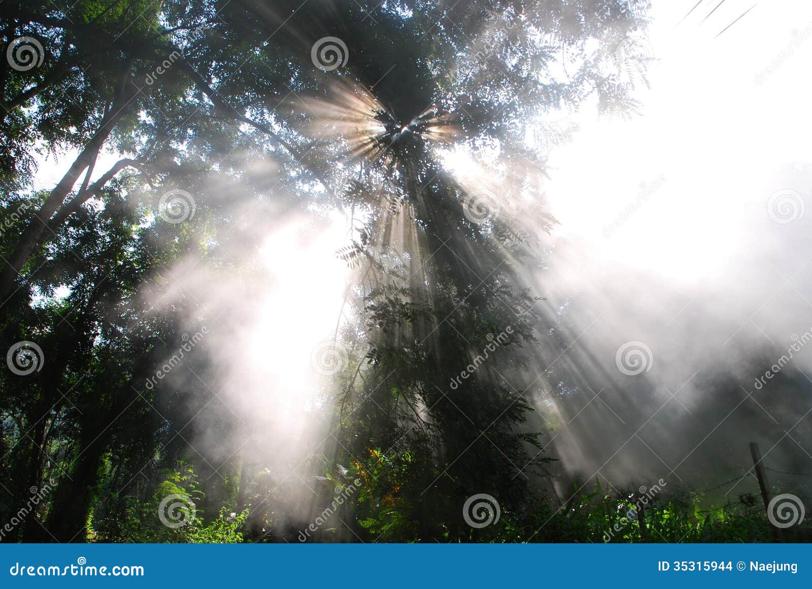 Magic light beams stock photo. Image of blue, explosion - 35315944