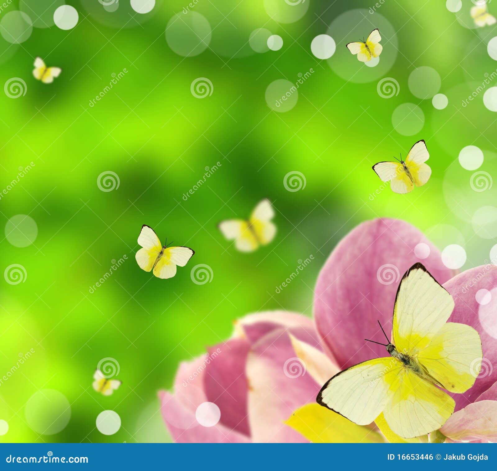 Magic meadow stock photo. Image of isolated, culture - 16653446