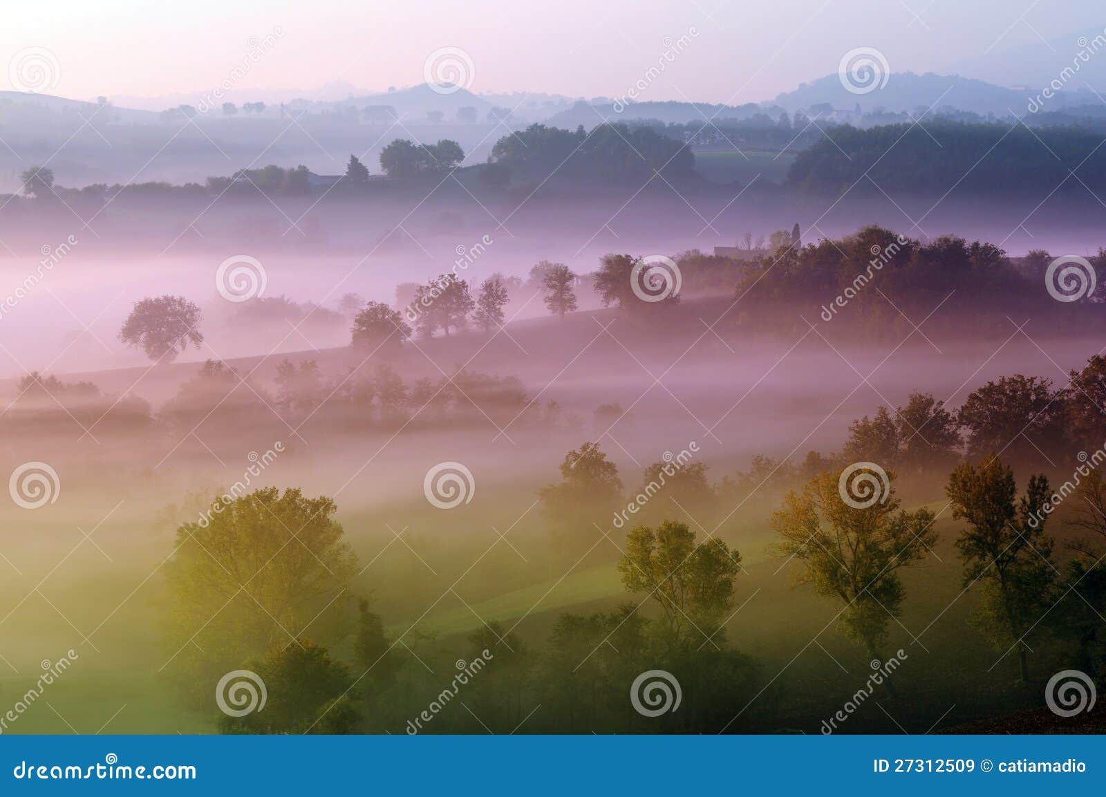 Magic mist stock image. Image of magic, magical, mist - 27312509