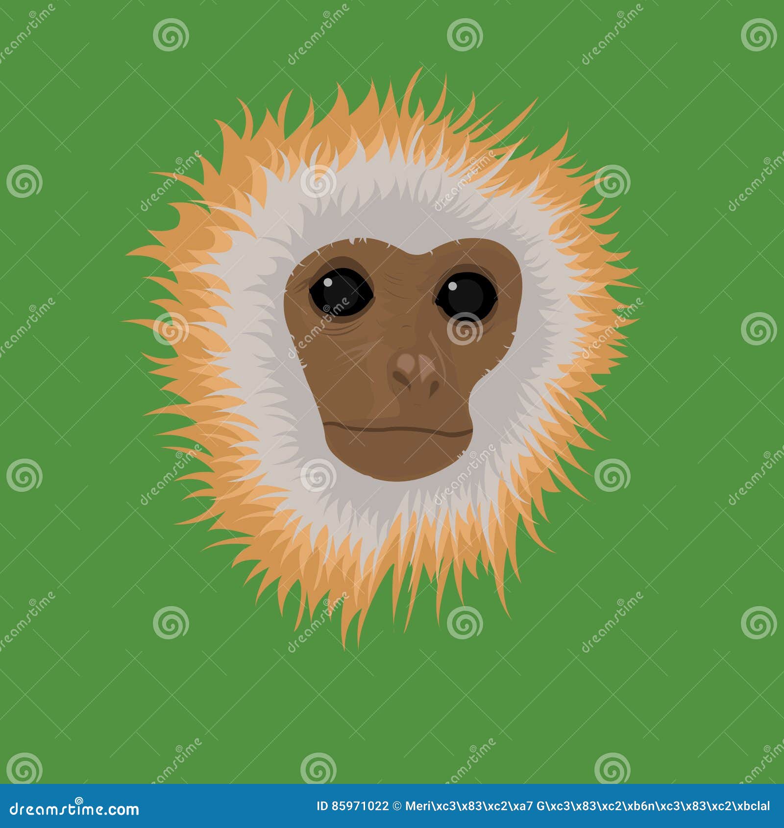 Magic monkey stock vector. Illustration of monkey, stilized - 85971022