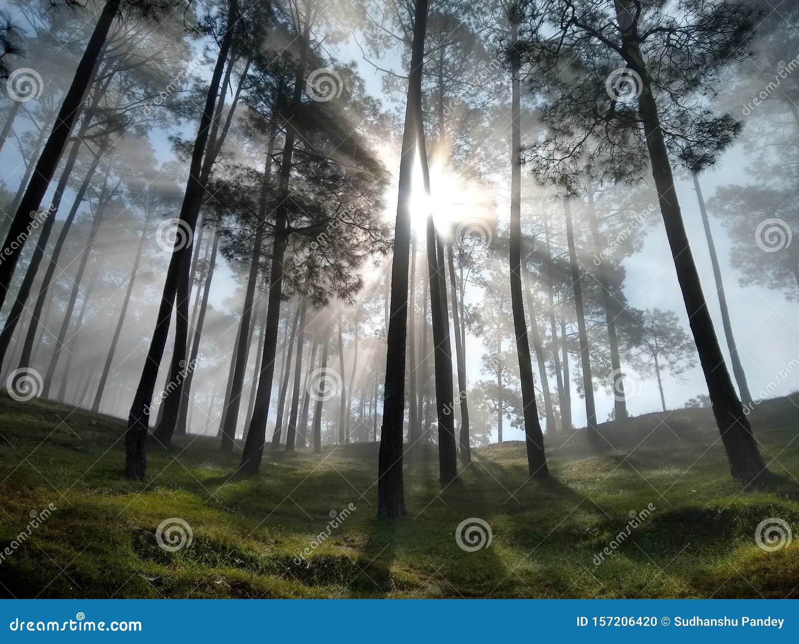 Magic of the Mother Nature, the First Sunshine Scattering Over the ...