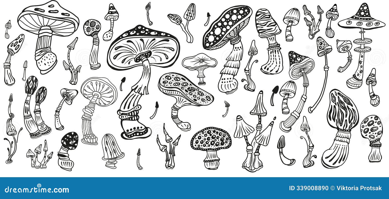 Magic Mushrooms 2 (AI Generated) Royalty-Free Stock Photography ...